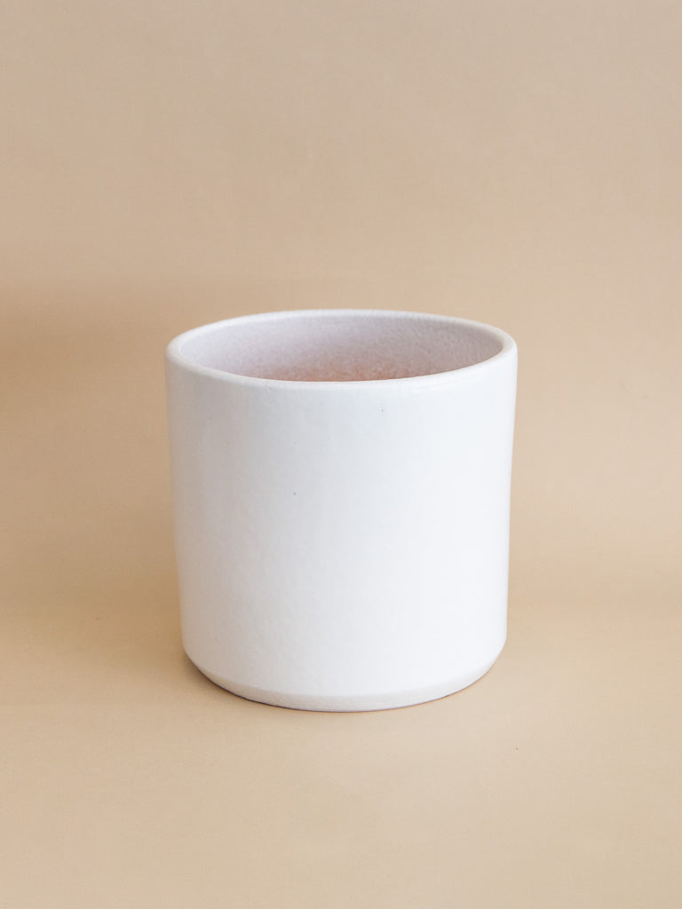 Deep Cylinder Clay Pot & Saucer 10" – The Fernseed
