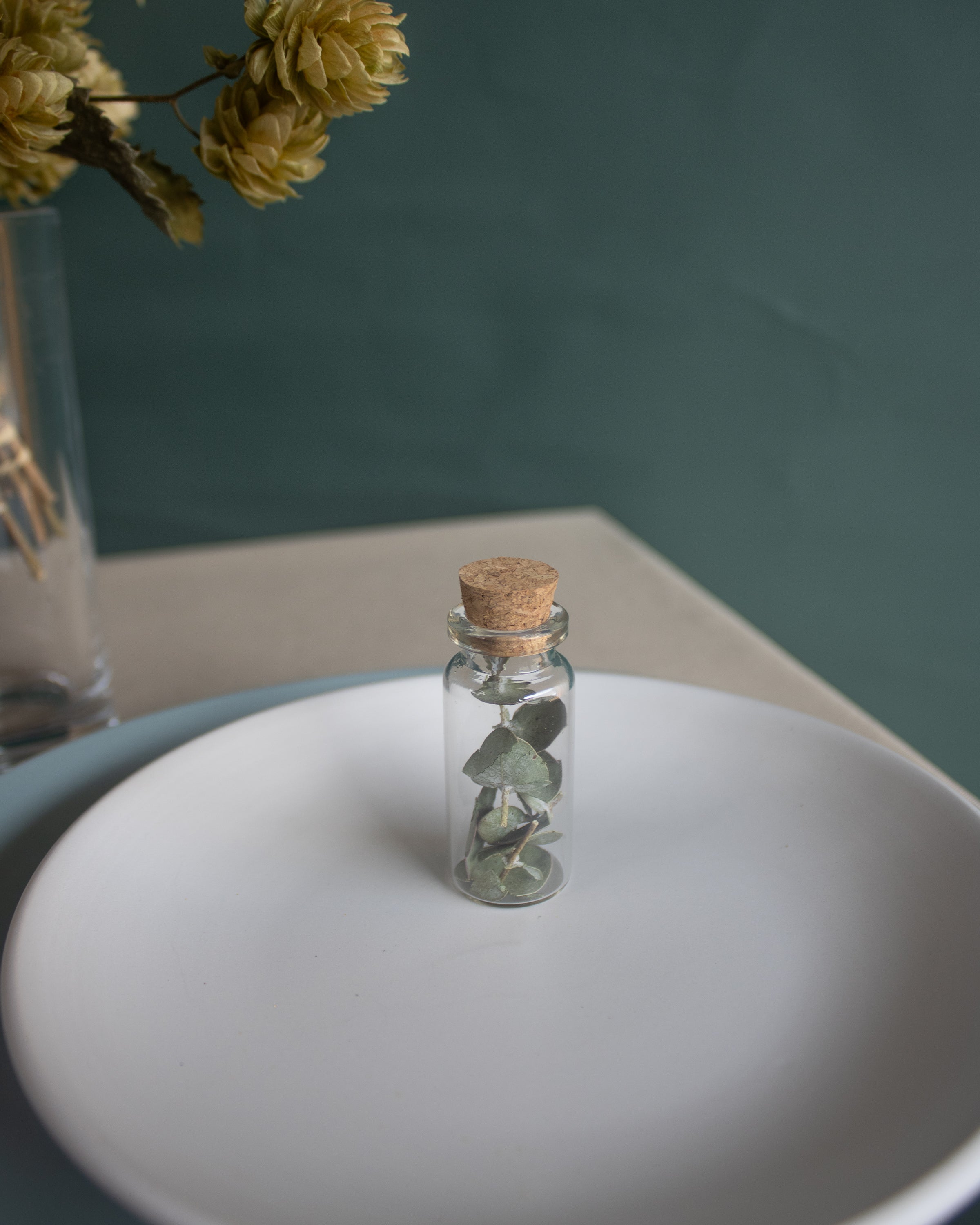 Mini Dried Flower Vials – The Fernseed