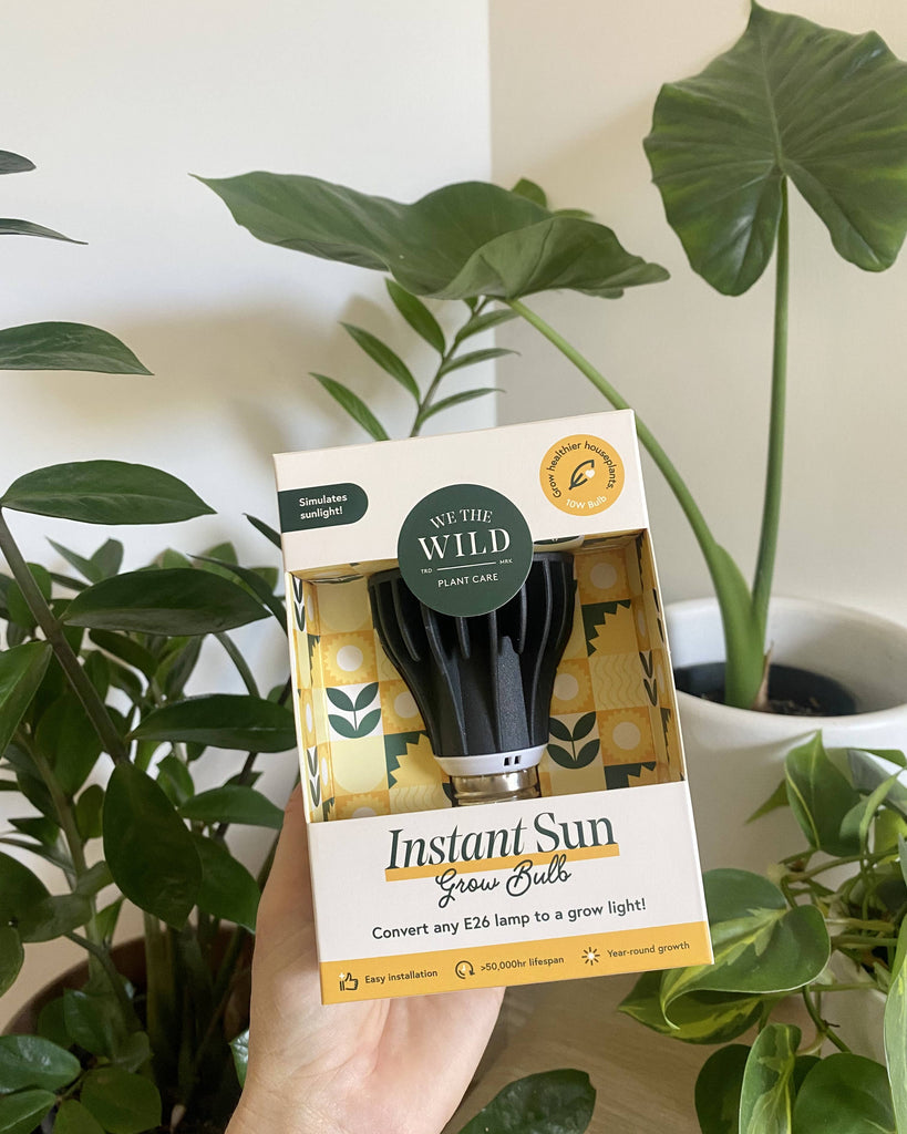 Instant Sun Grow Bulb – Fernseed